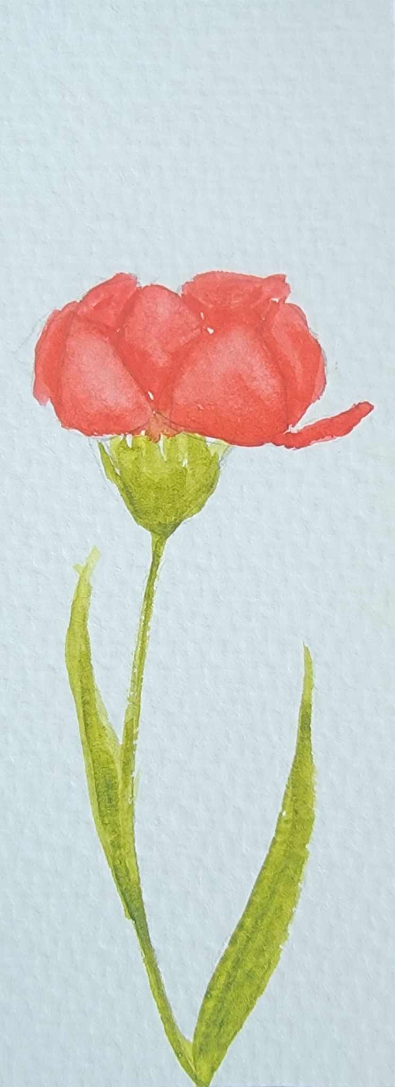 Hand Painted Bookmark-singular Flower, Watercolor Bookmark - Etsy