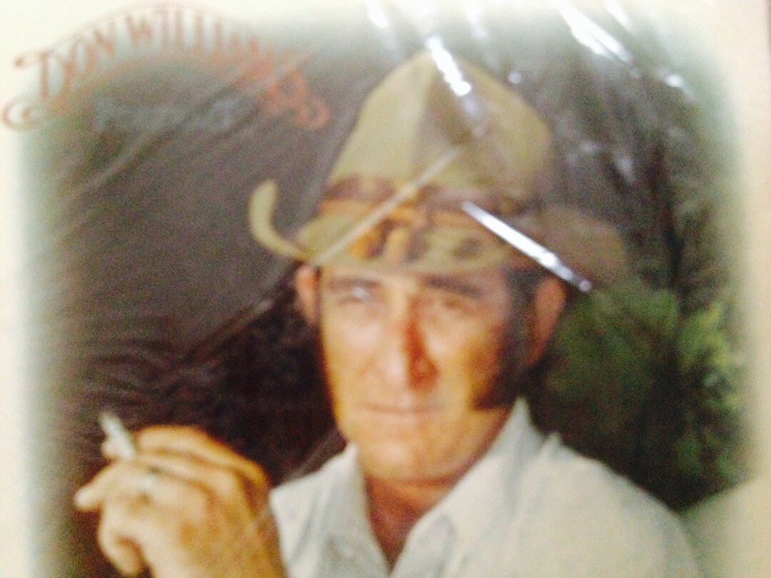 Don Williams - Portrait - Vinyl Record - Etsy