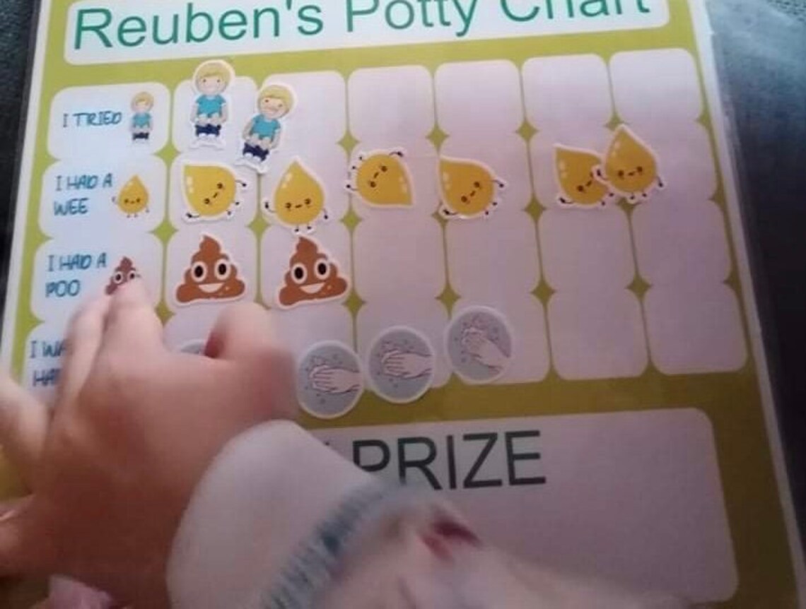Personalised Potty Training / Reward Chart and Stickers - Etsy