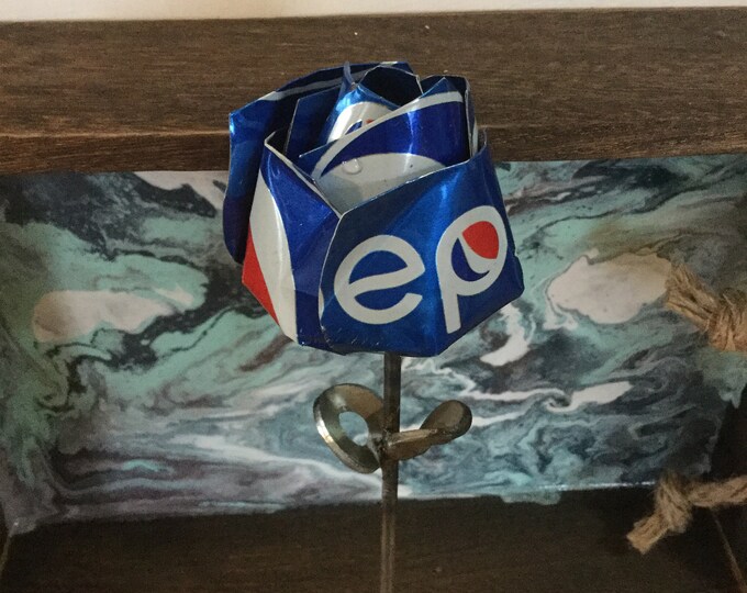 Pepsi-cola Rose - Etsy