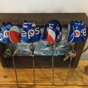 Pepsi-cola Rose - Etsy