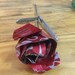 Coca-cola Rose - Etsy