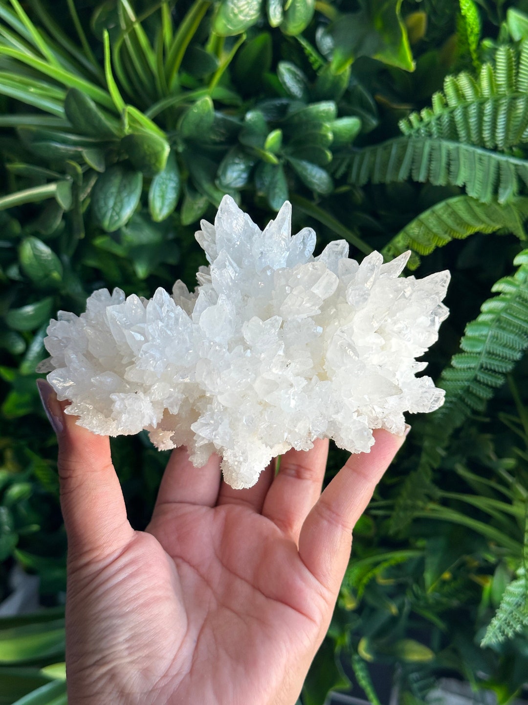 634g Sparkling White Aragonite Cluster G, Cave Calcite, Dogtooth ...
