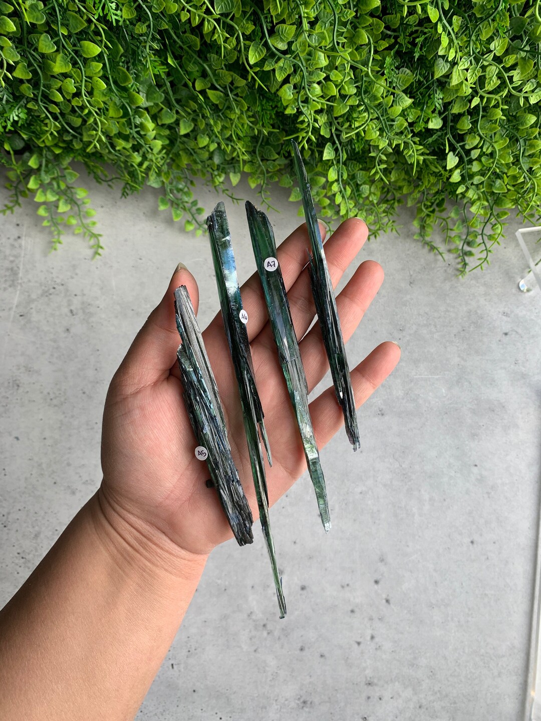 Long Vivianite Cluster Sheaths, Green, A5 to A8, Fire Element, Brazil ...
