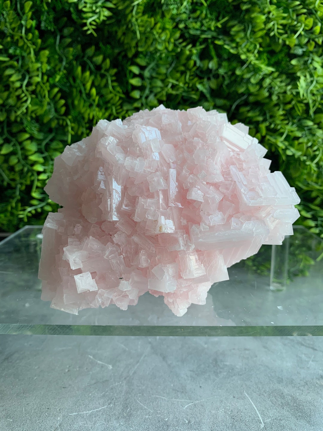 Pink Halite Cluster: 500g High Shine Crystal, Stone of Self Love - Etsy