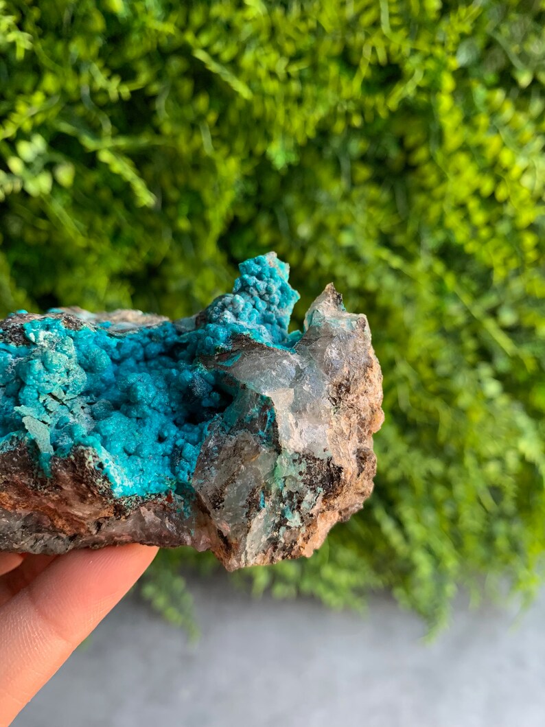 308g Raw Chrysocolla Specimen on Matrix Rough Stone Stone of - Etsy