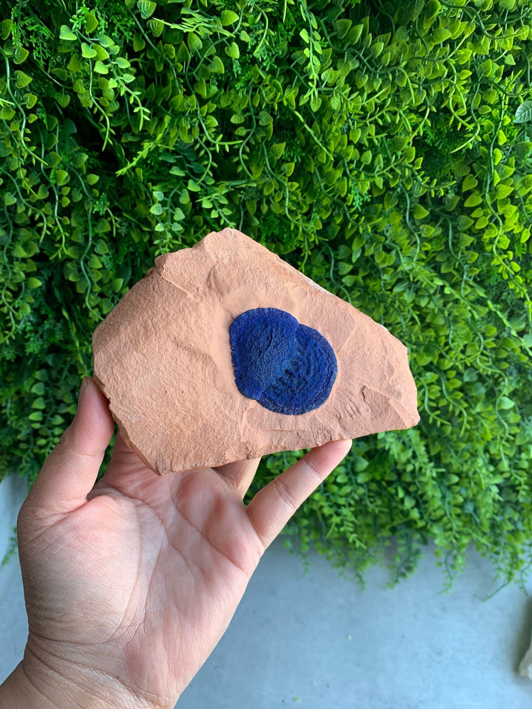 545g Rare Azurite Sun Show Piece Specimen on Kaolinite, Australian Clay ...