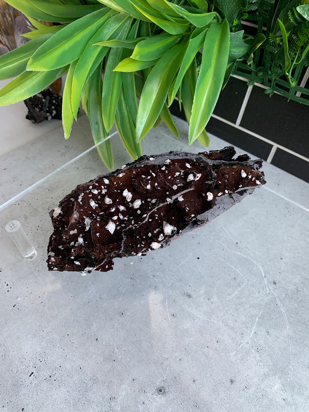 442g Black Siderite Show Piece Cluster With Double Terminated Calcite ...