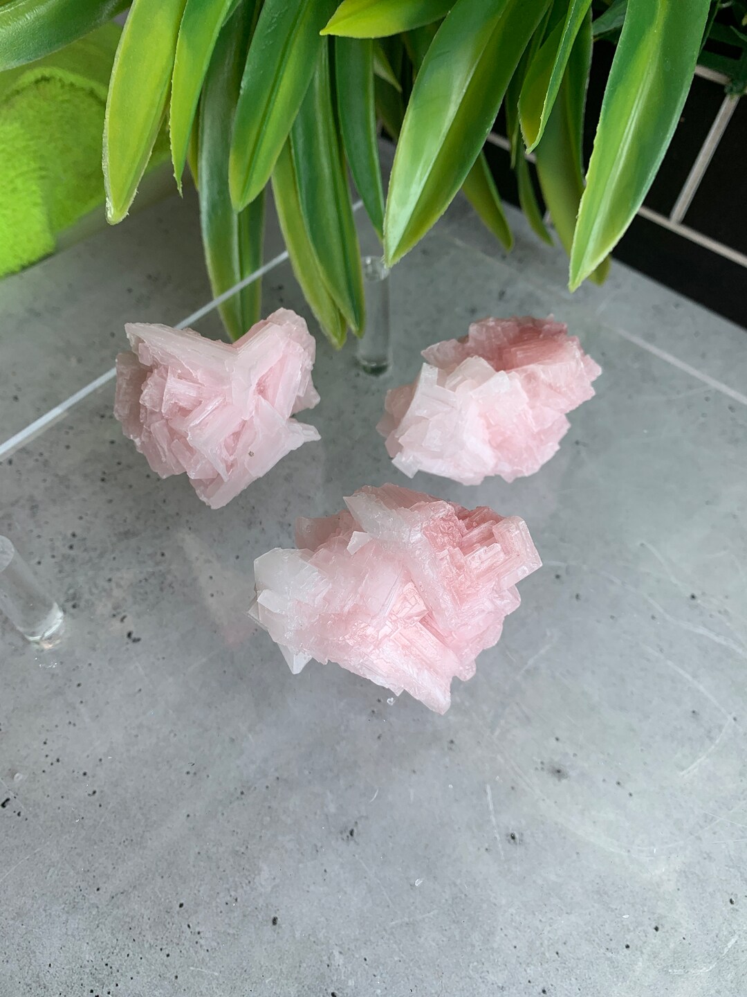 Rare Pink Halite Cluster Specimen, Set M22 to M25, Owens Lake 22, Inyo ...