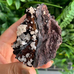 186g Black Siderite Specimen With Double Terminated Calcite Points ...