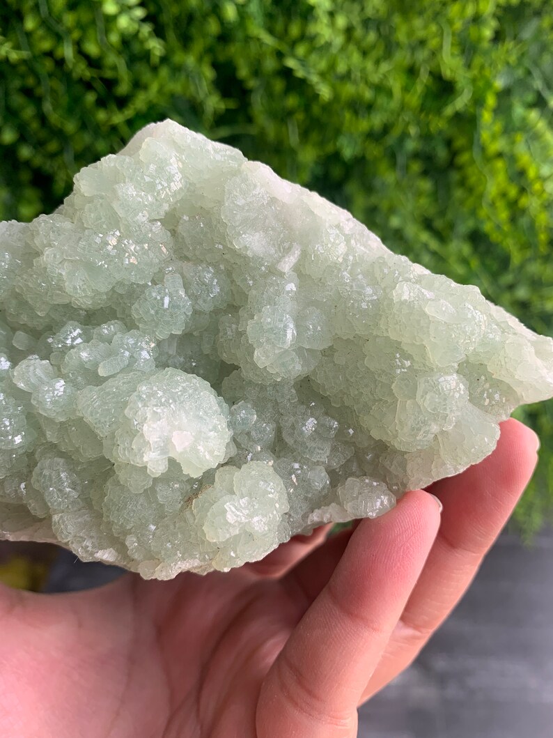 882g Bowtie Prehnite Cluster Pastel Green Collectors Item - Etsy