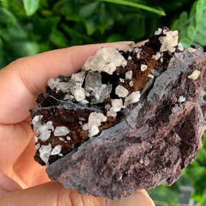 186g Black Siderite Specimen With Double Terminated Calcite Points ...