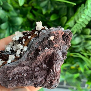 186g Black Siderite Specimen With Double Terminated Calcite Points ...