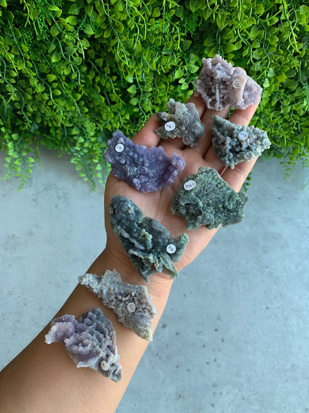 Grape Agate Specimen: Botryoidal Chalcedony, Stone of Tranquility - Etsy