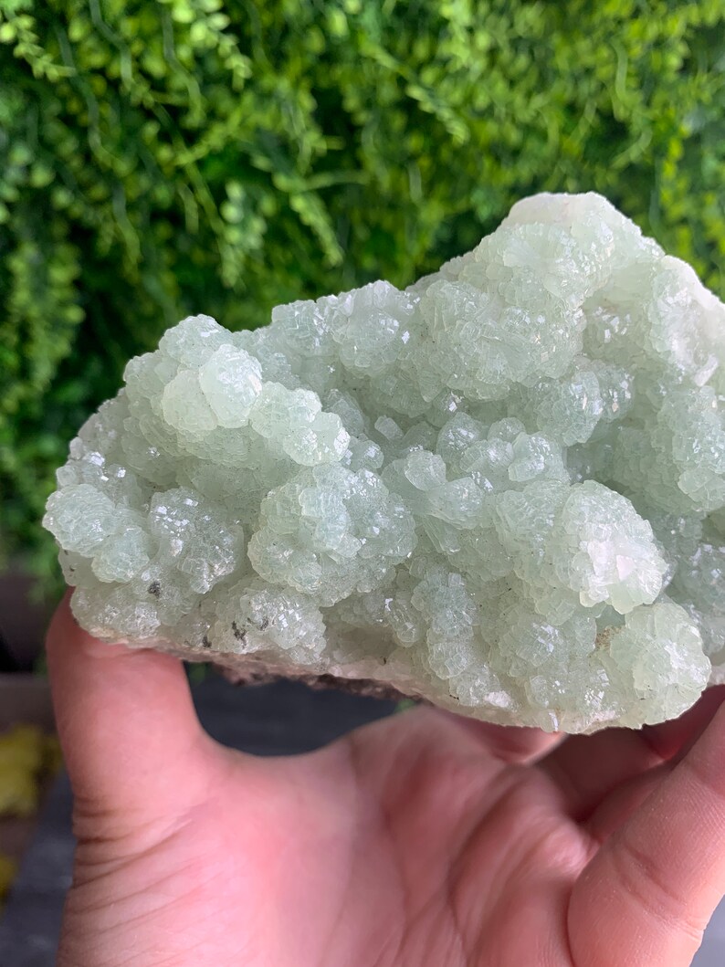 882g Bowtie Prehnite Cluster Pastel Green Collectors Item - Etsy