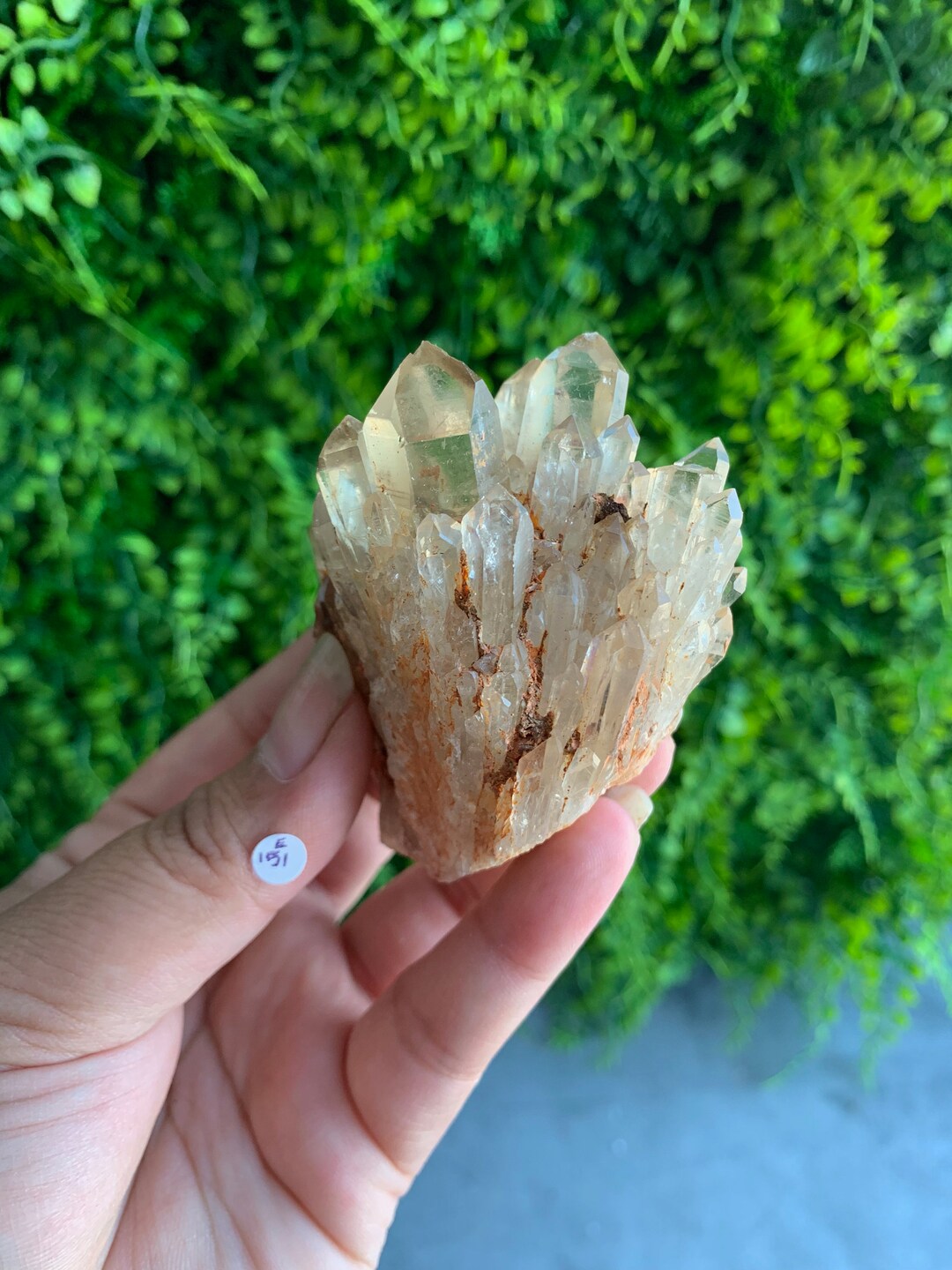151g Clear Kundalini Citrine Pineapple Cluster, Rare, Congo, Stone of ...