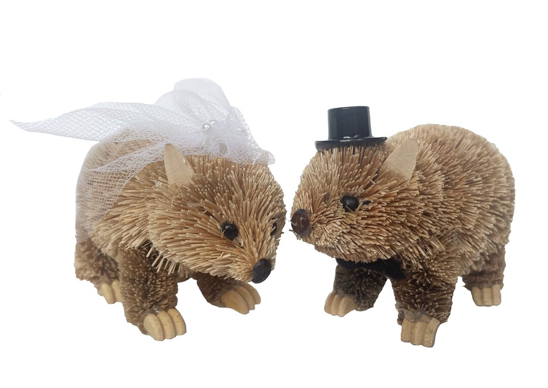 Australian Wedding Cake Topper Wombats Bride & Groom, Animal, Souvenir ...