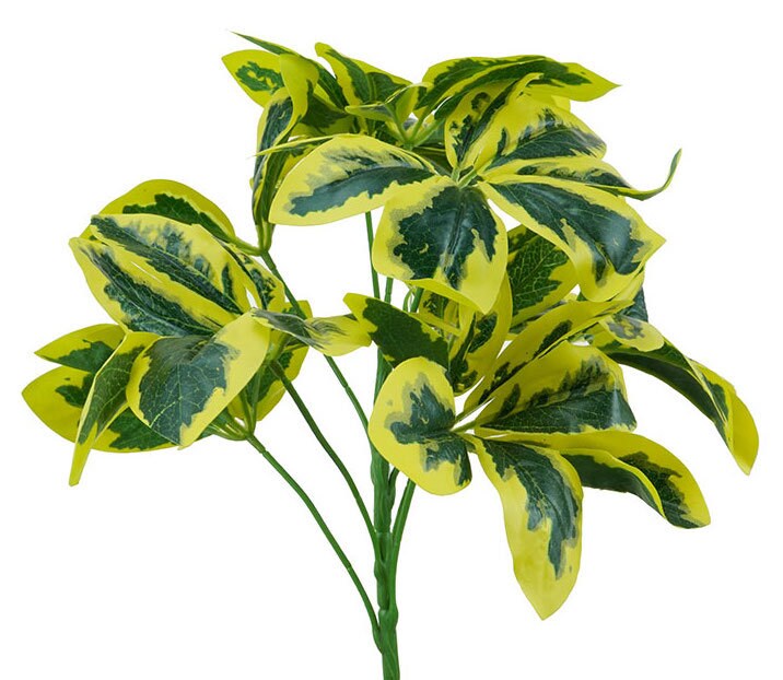 Euonymus Plant Bush Pick Plant 34cm Artificial Greenery | Etsy