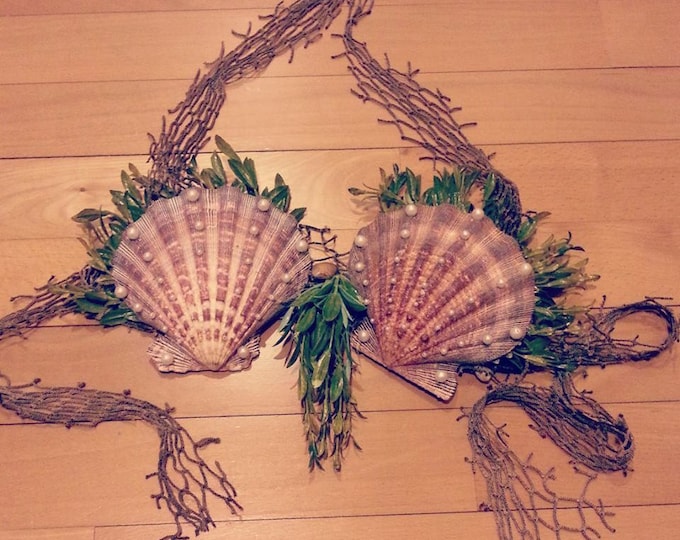 Seashell Bra - Etsy