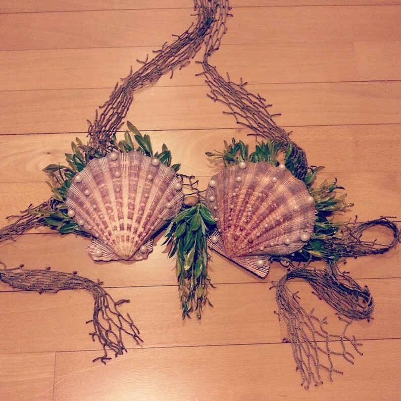 Seashell Bra - Etsy
