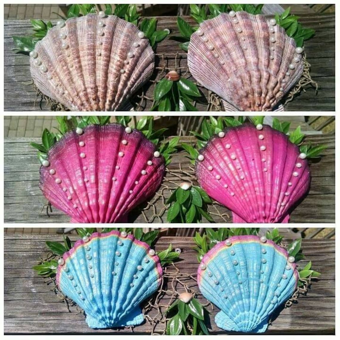 Seashell Bra - Etsy