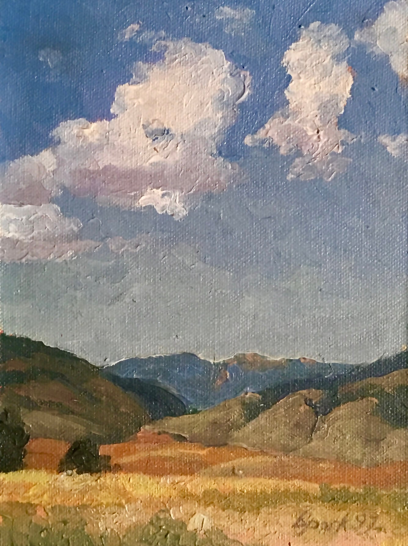 Oil Painting, Paradise Valley Clouds, Bruce Park - Etsy