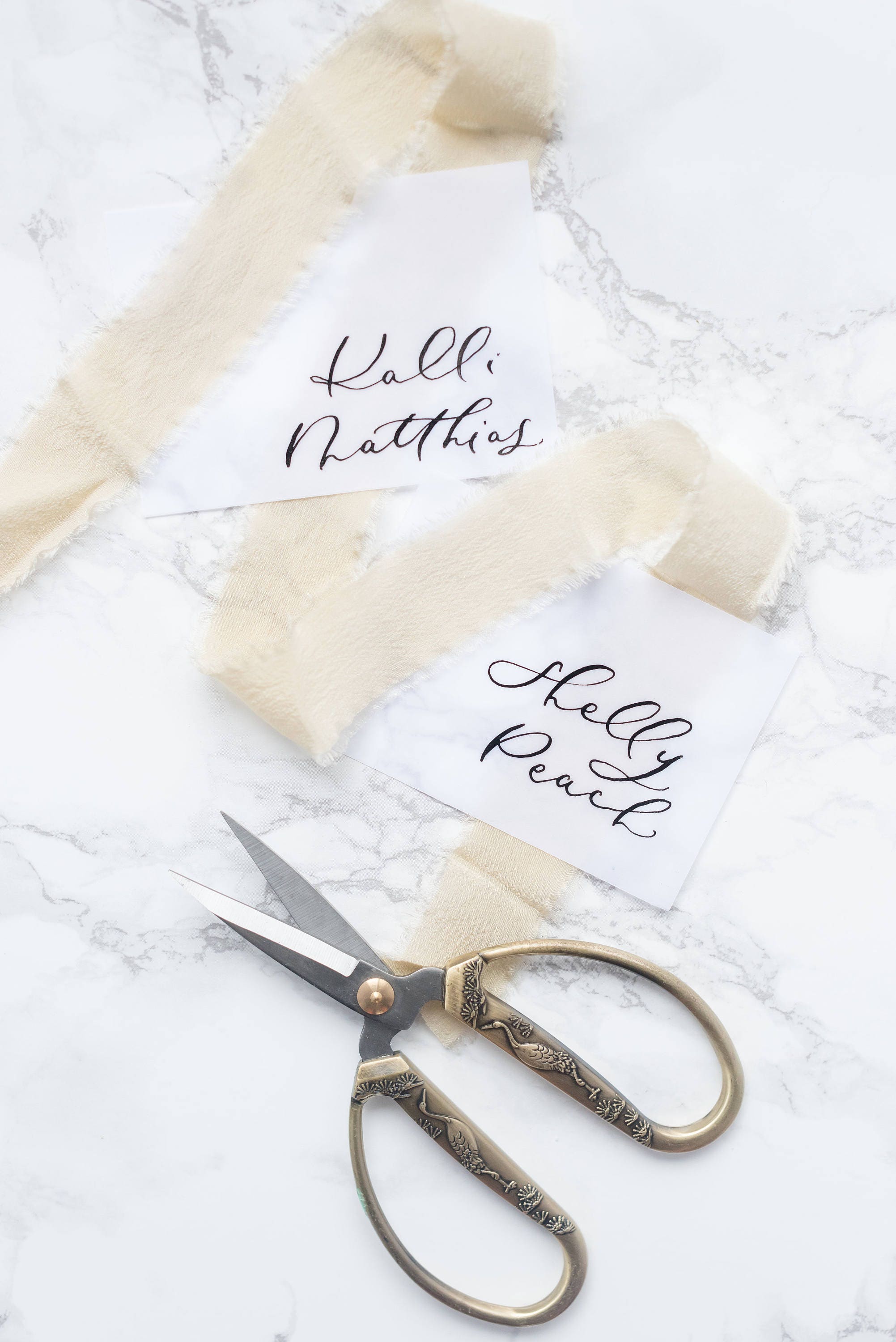 Paper & Party Supplies Vellum and Cardstock Place Cards for Wedding ...