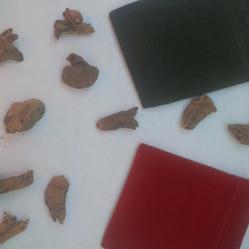 Lucky Hand Root With Mojo Bag - Etsy