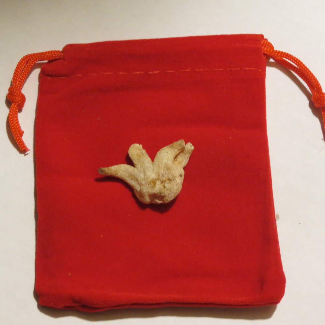 Lucky Hand Root with Mojo Bag | Etsy