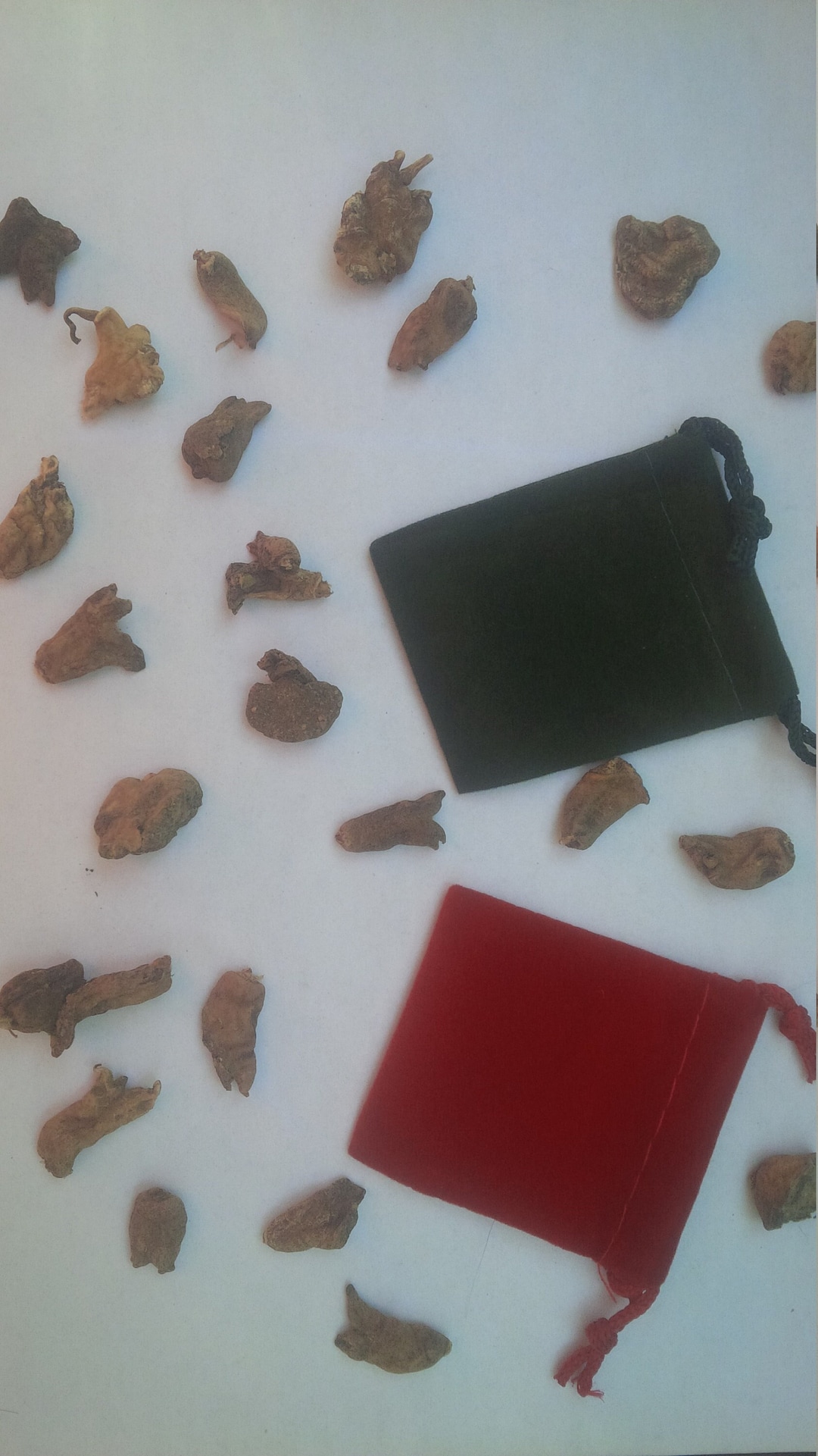 Lucky Hand Root With Mojo Bag - Etsy