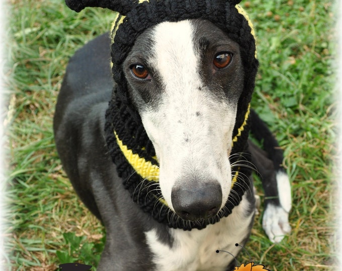 MAYA THE BEE Hat for Greyhound/galgo/lurcher - Etsy