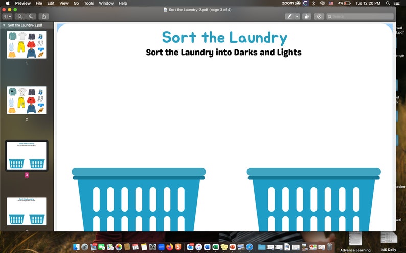 Laundry Sort File Folder Lifeskills Game - Etsy