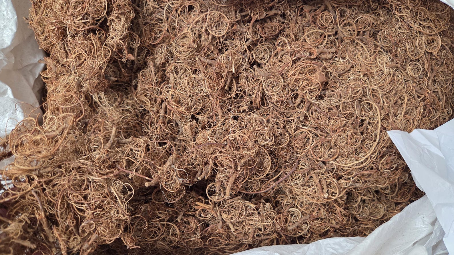 Tamarind Fiber. Un-combed. Raw Unfinished Textile Bundle. - Etsy