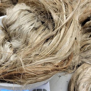 Seaweed / Macro Algae Long Fiber Bundle. 100% Natural Fiber. Great for ...