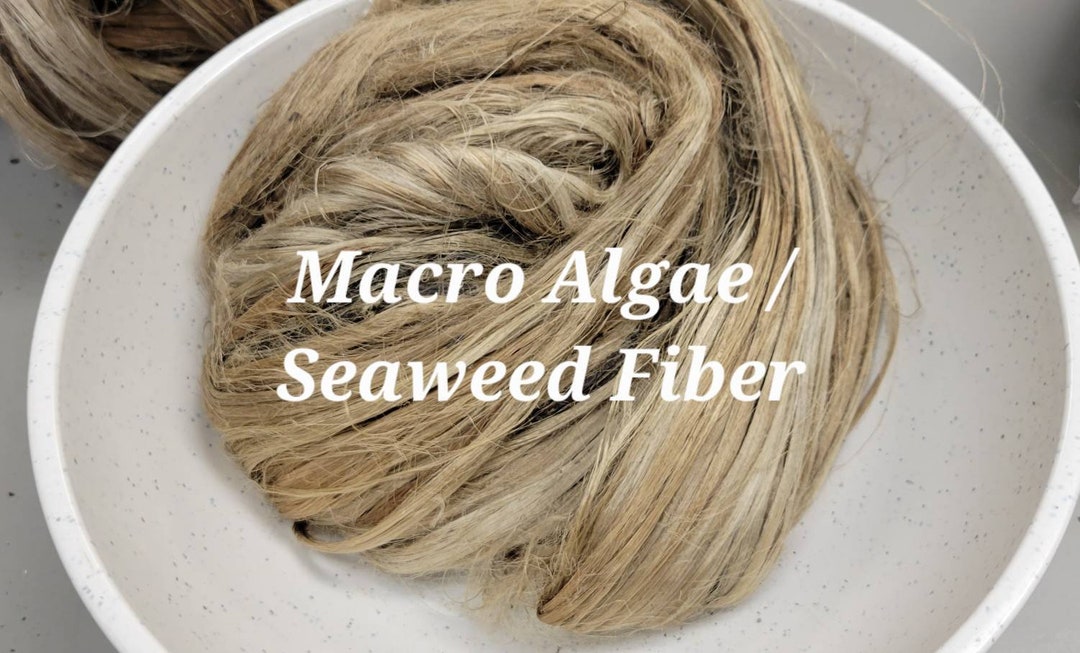 Seaweed / Macro Algae Long Fiber Bundle. 100% Natural Fiber. Great for ...