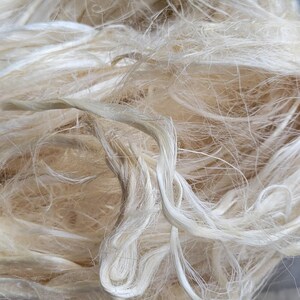 Lotus Flower Plant Long Fiber Bundle. 1 Oz. 100% Natural Fiber. Great ...