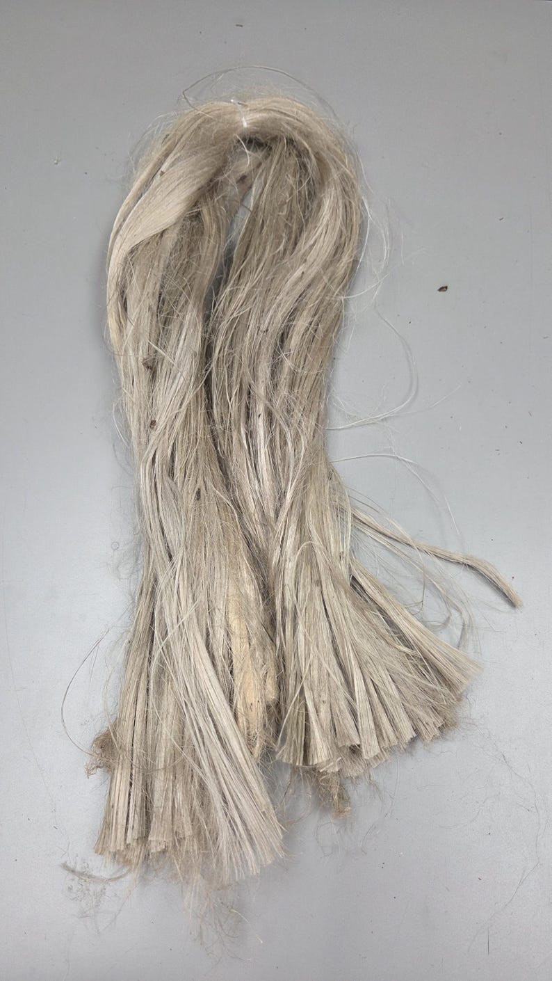 Algae Brown Seaweed Fiber Bundle. (sargassum). Semi-combed, Natural ...