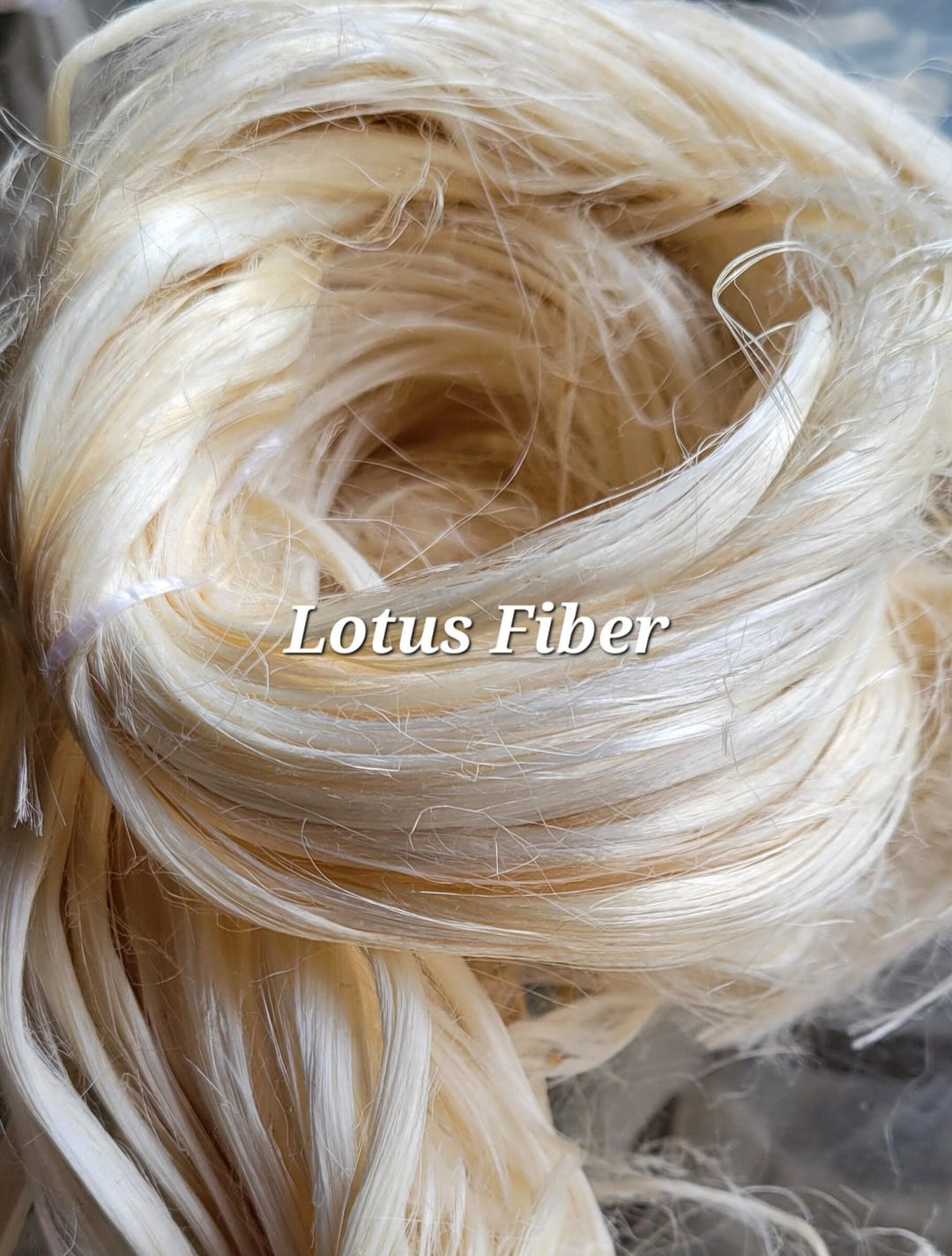 Lotus Flower Plant Long Fiber Bundle. 1 Oz. 100% Natural Fiber. Great ...