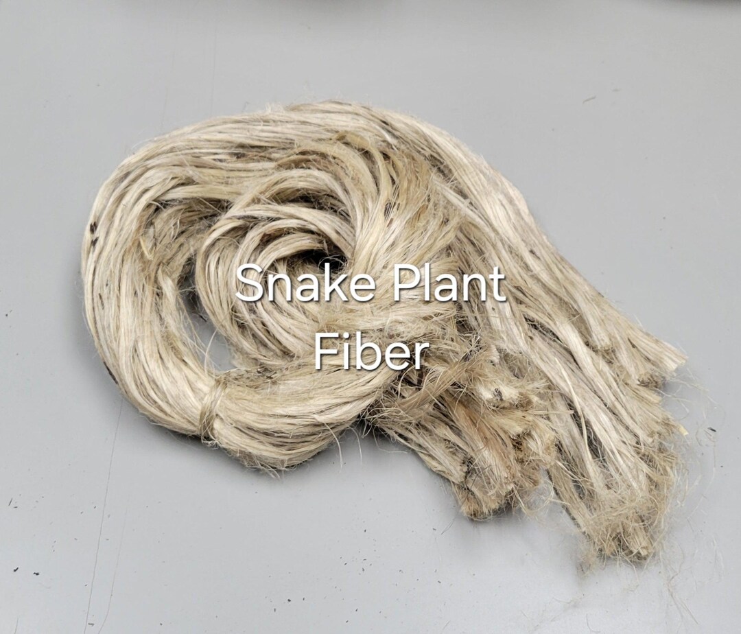 Snake Plant Leaf Long Fiber Bundle. 100% Natural Semi-combed Fiber. - Etsy