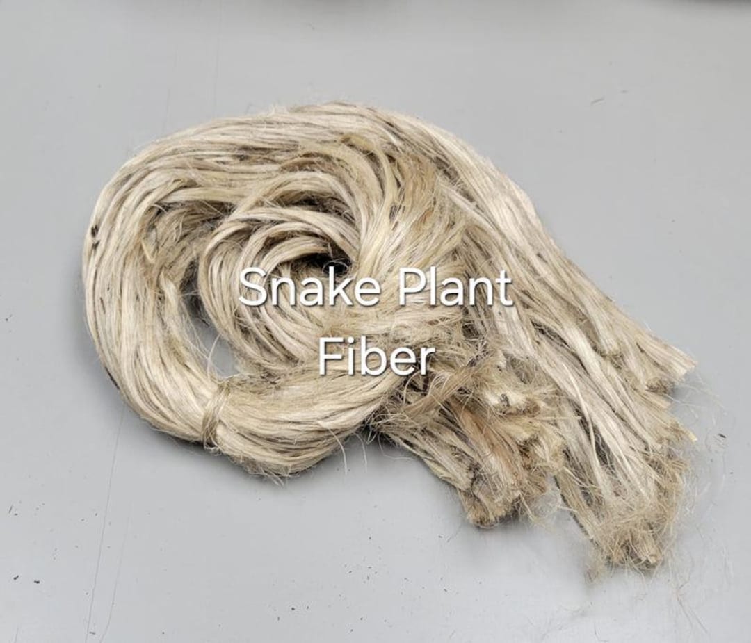 Snake Plant Leaf Long Fiber Bundle. 100% Natural Semi-combed Fiber. - Etsy