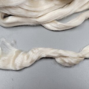 Ginger Fiber (rcfs). 1 Ounce. Combed Sliver. - Etsy