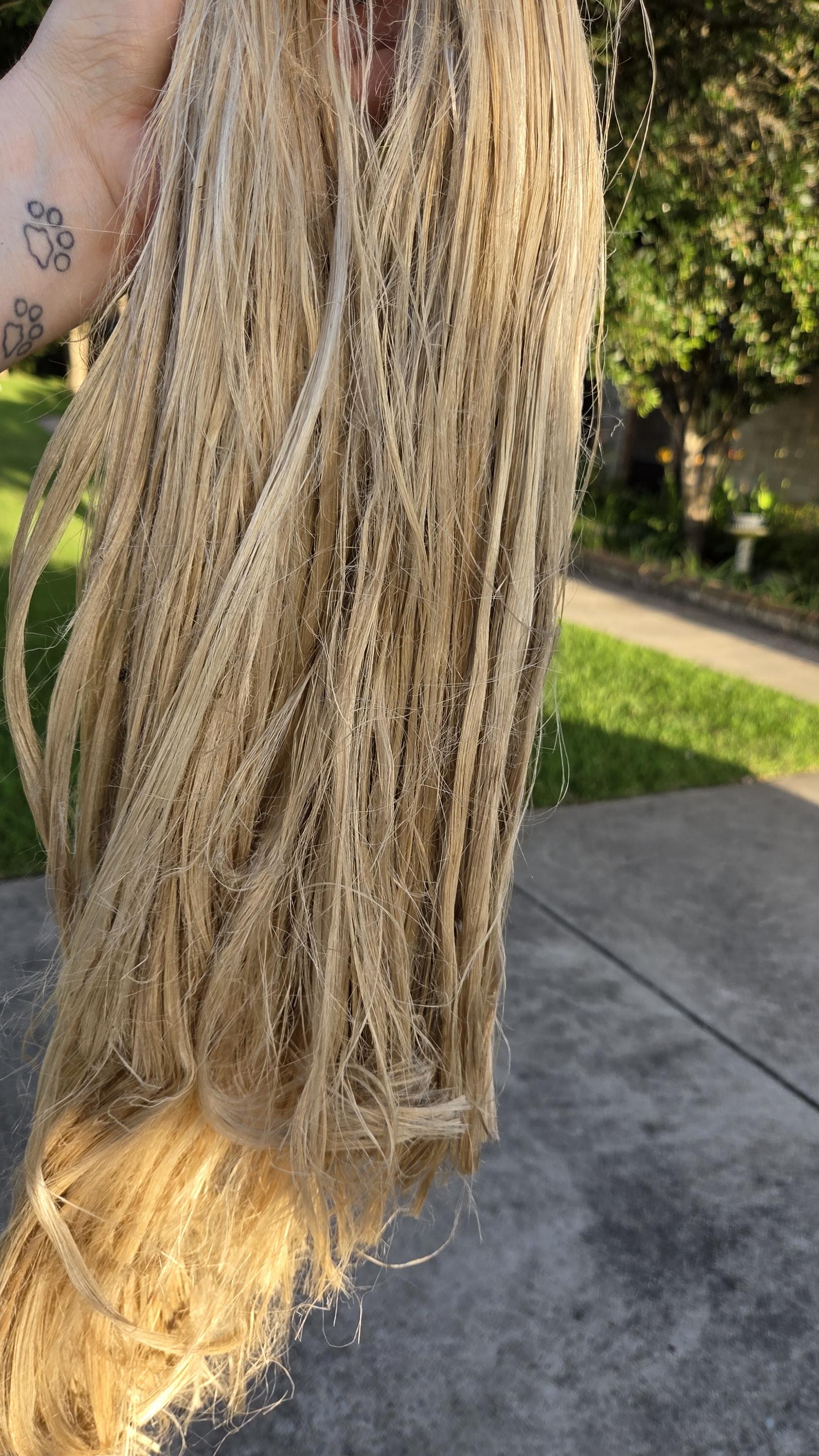 Sunn Hemp Fiber Bundle. 1 Oz. 100% Natural Fiber. Great for Basketry ...
