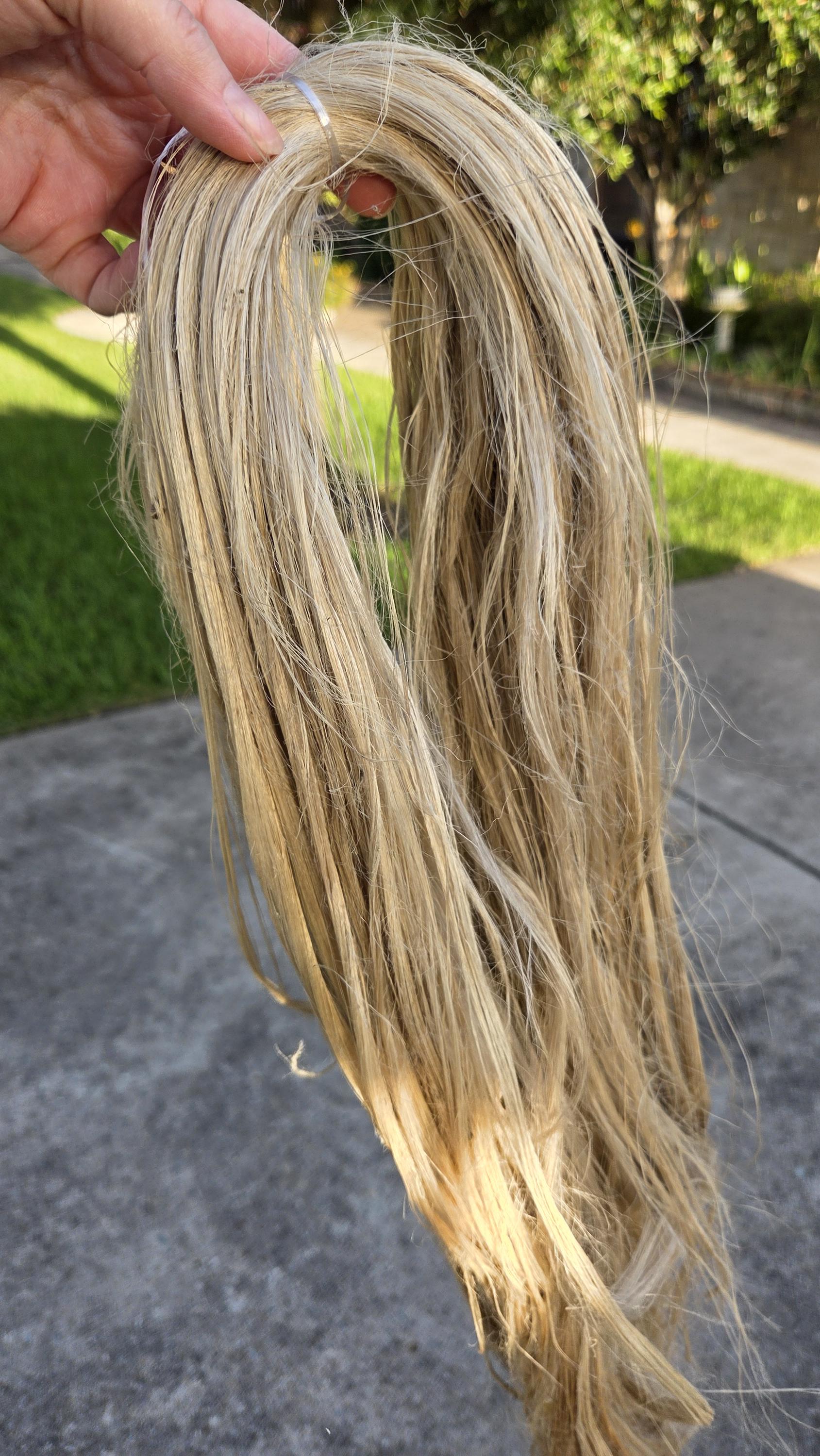 Sunn Hemp Fiber Bundle. 1 Oz. 100% Natural Fiber. Great for Basketry ...