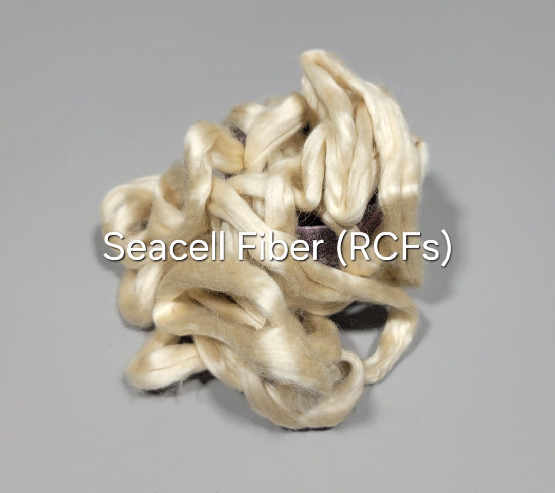 Seacell Fiber (rcfs). 1 Ounce. Combed Sliver. - Etsy