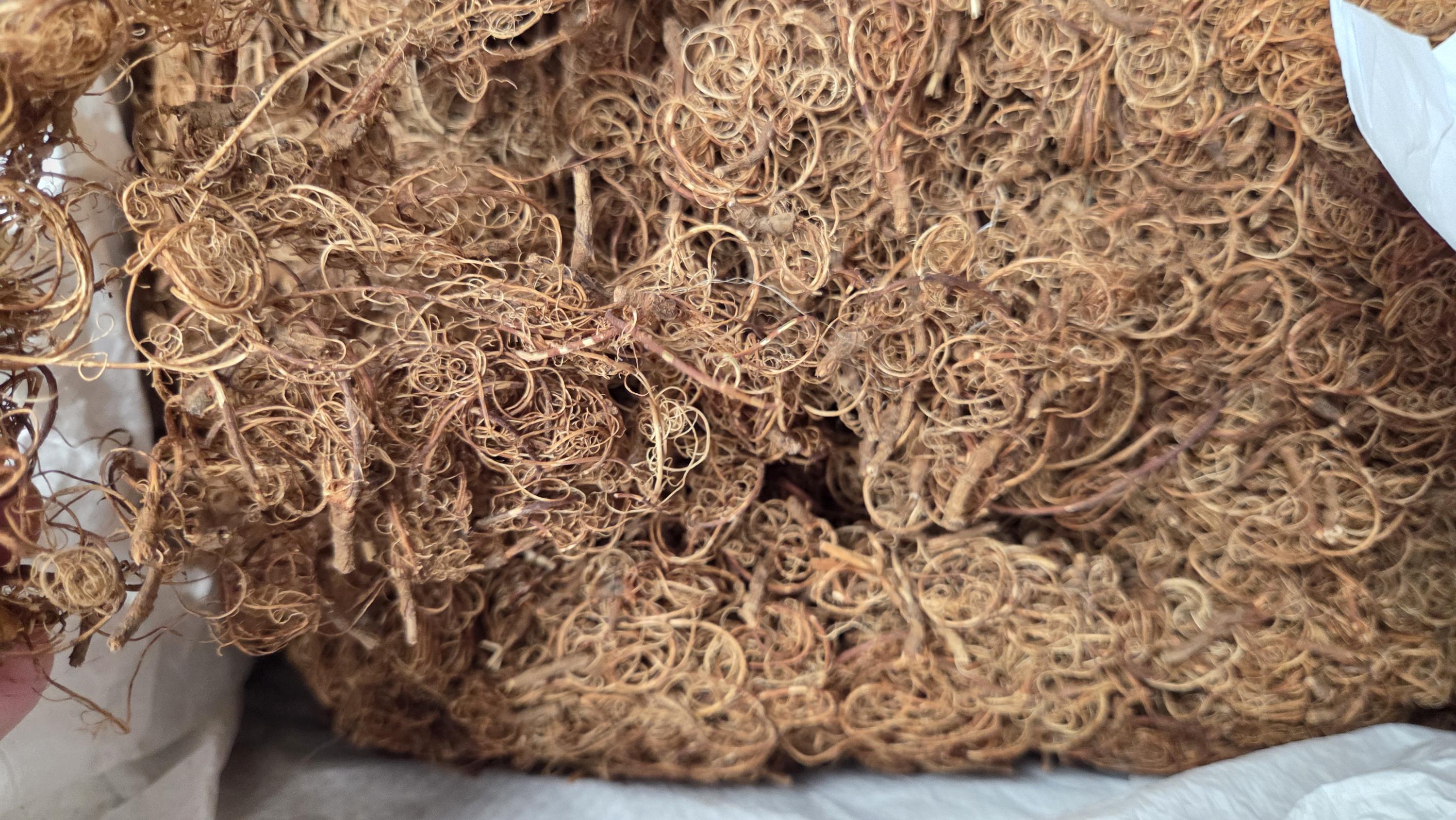Tamarind Fiber. Un-combed. Raw Unfinished Textile Bundle. - Etsy