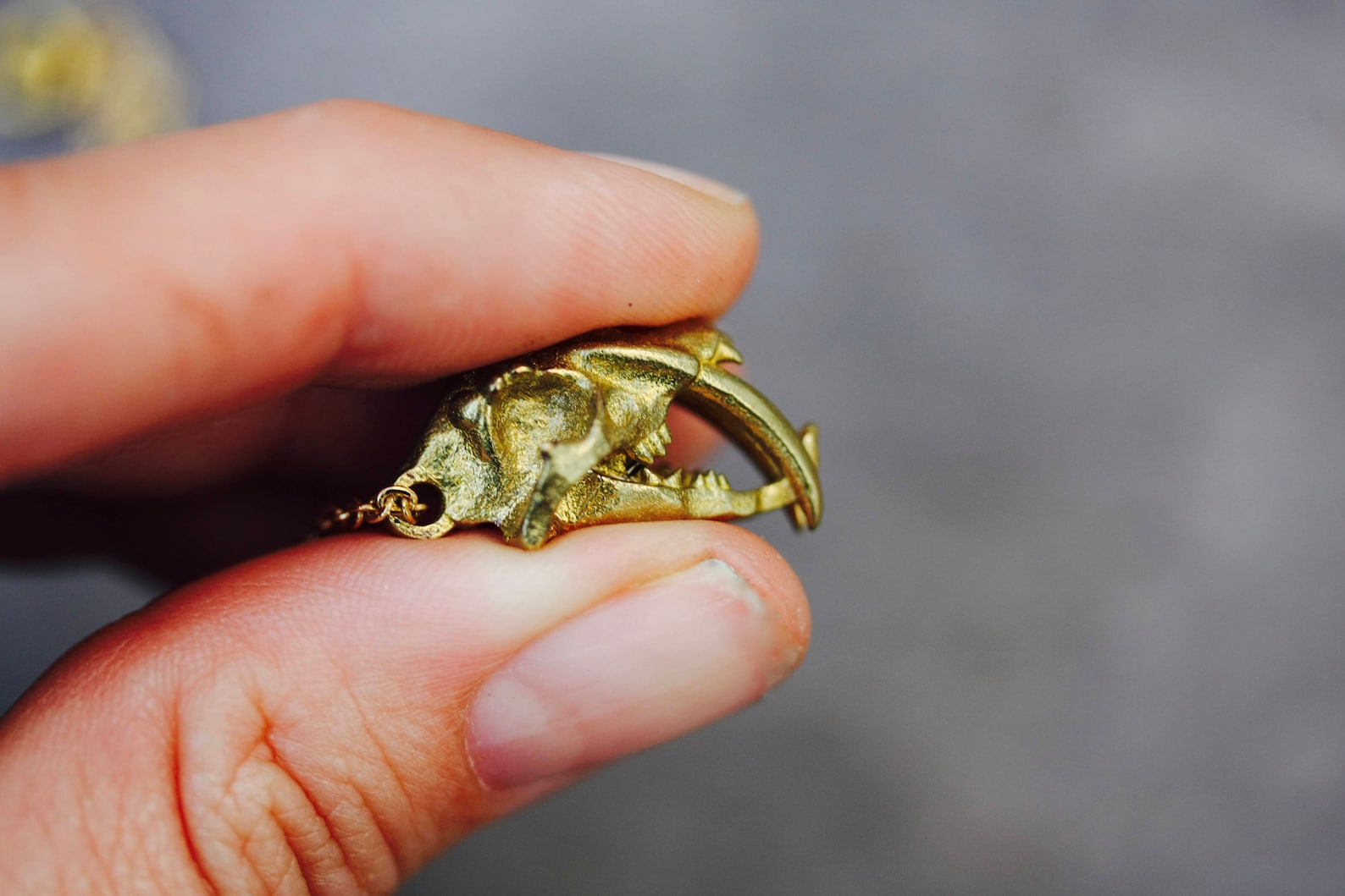 Saber Tooth Necklace Animal Skull Skull Necklace Animal - Etsy