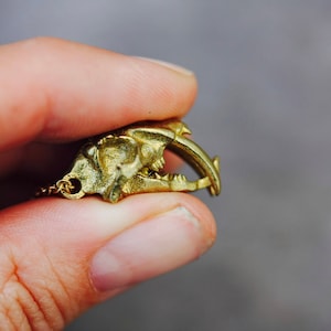 Saber Tooth Necklace, Animal Skull, Skull Necklace Animal Necklace ...
