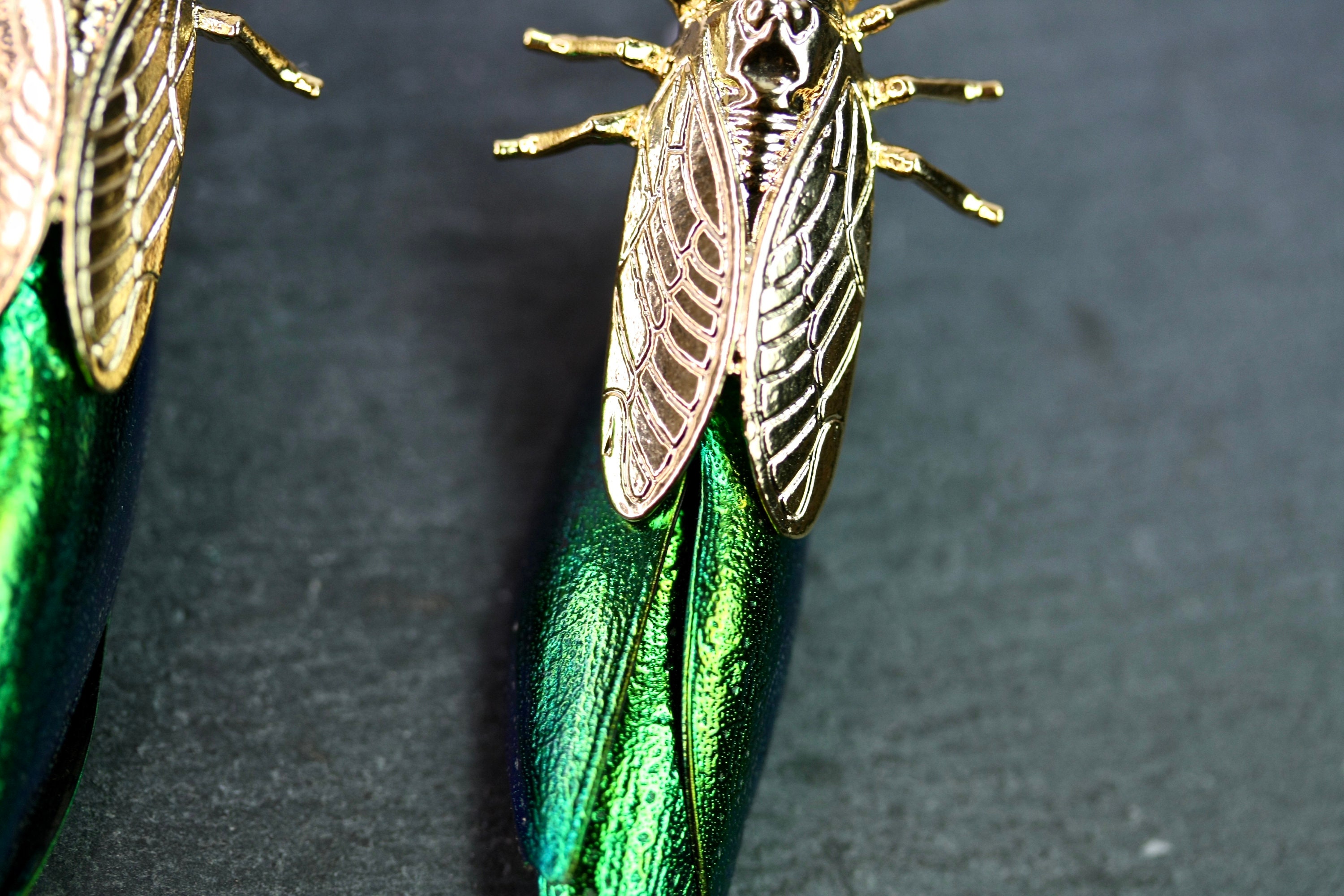 Gold Cicada Beetle Wing Earrings - Emerald Green Statement Jewelry - Etsy