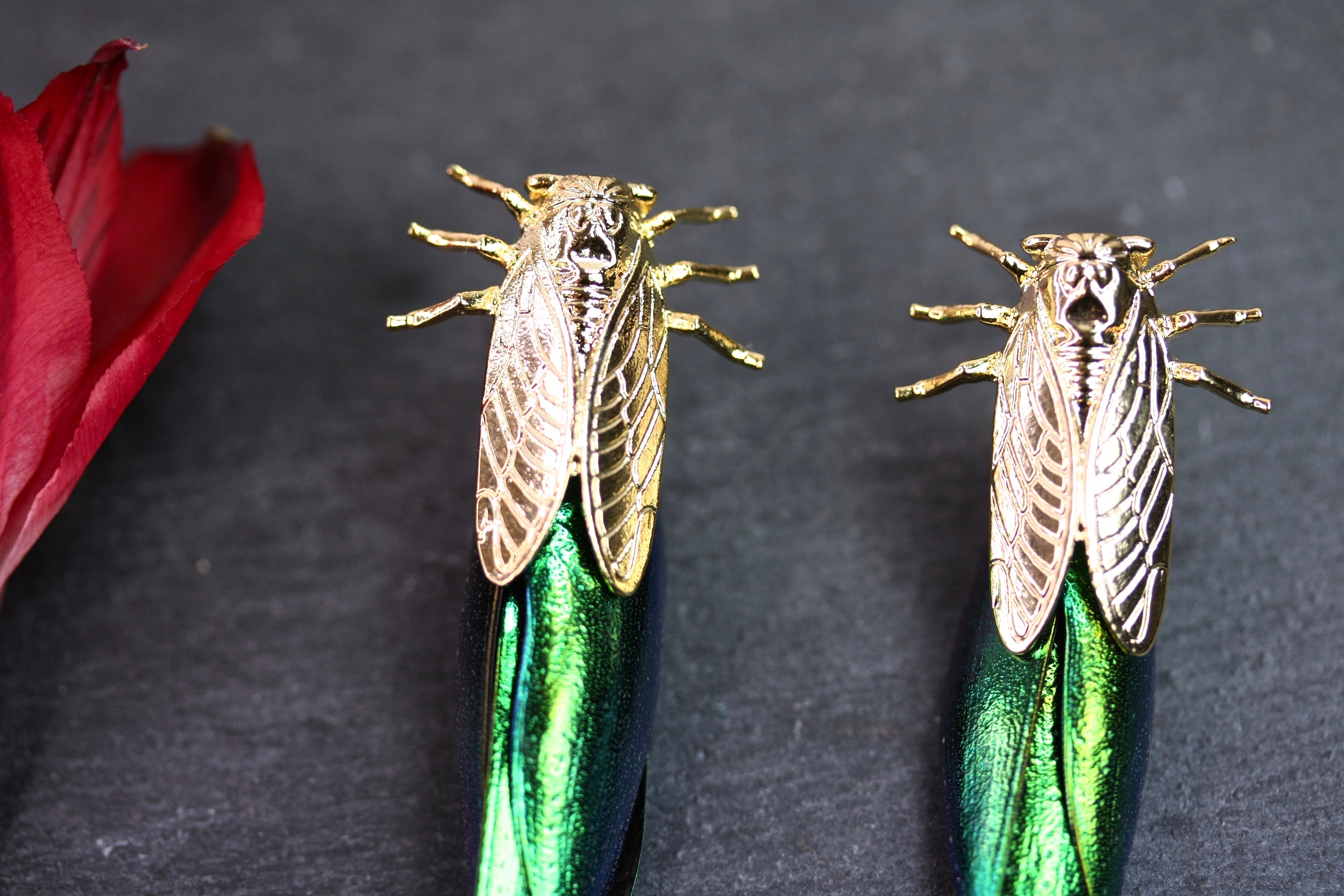 Gold Cicada Beetle Wing Earrings - Emerald Green Statement Jewelry - Etsy