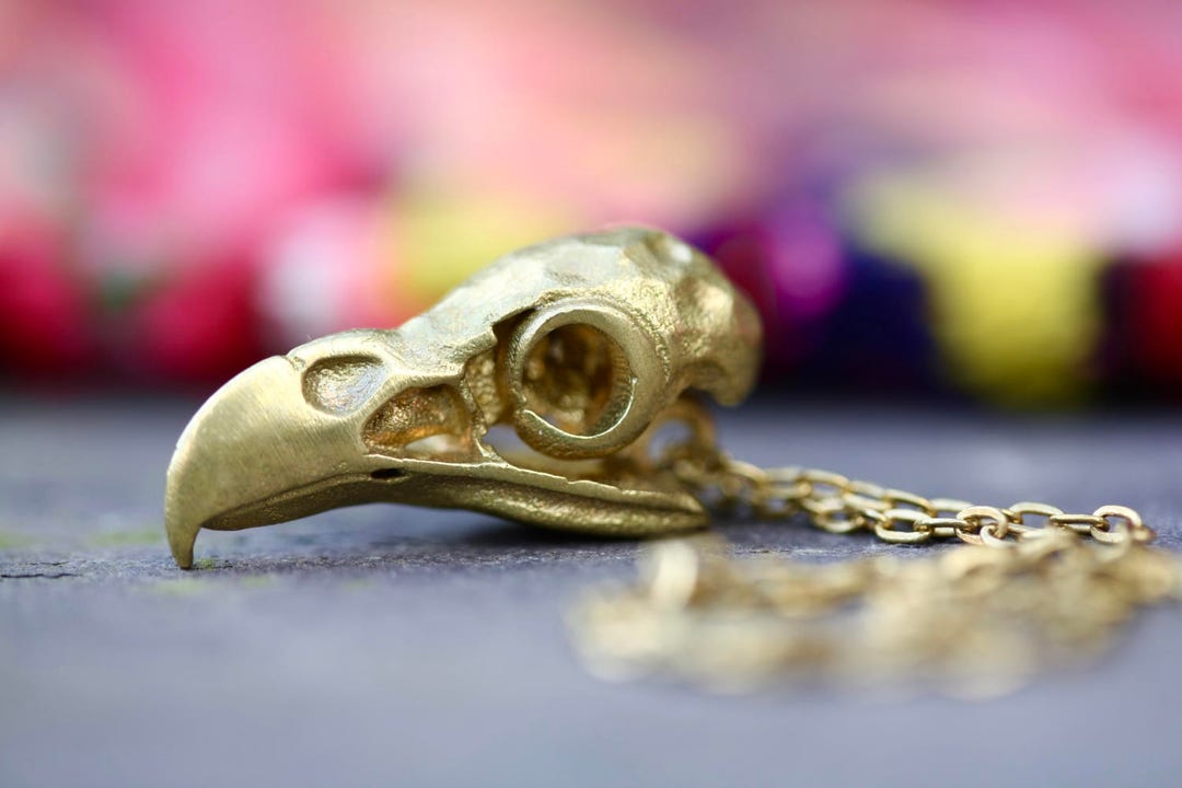 Parrot Skull Necklace, Bird Skull Necklace Skull Necklace Witch ...